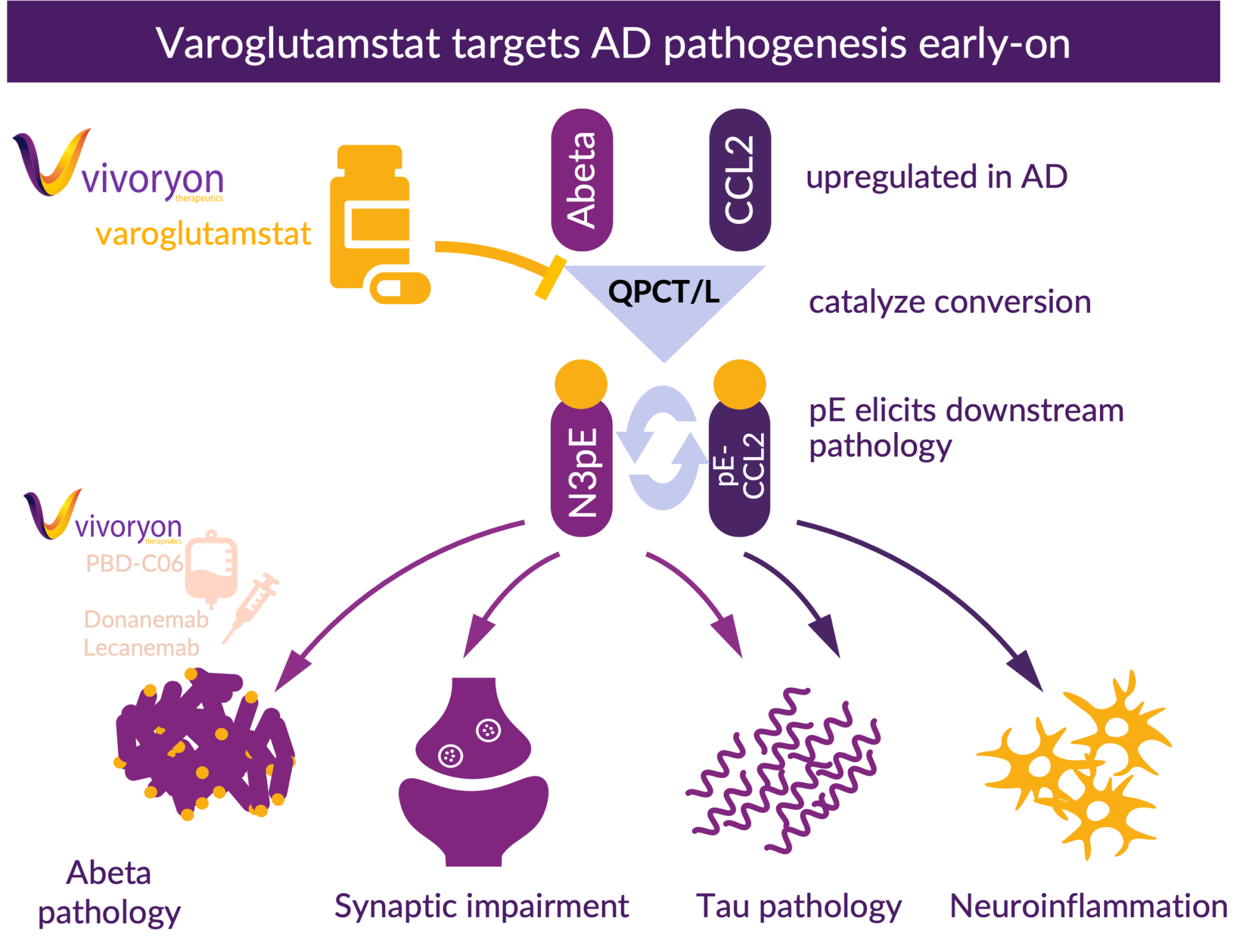 Our Approach - Vivoryon